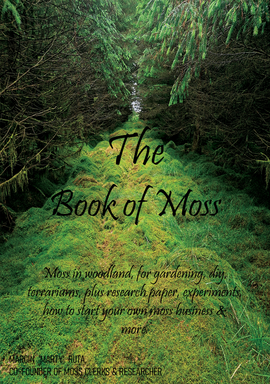 Live Moss, Moss on Rocks, Moss Lawns and Landscaping Moss for Sale ...